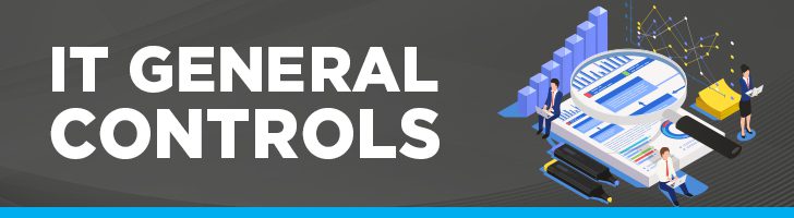 What Are Internal Controls? A Comprehensive Guide