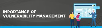 Vulnerability Management Maturity Model: Life Cycles & More